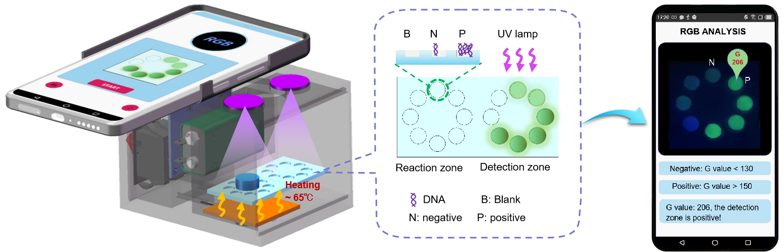 Fluorescent on-site detection of multiple pathogens using smartphone-based portable device with ...
